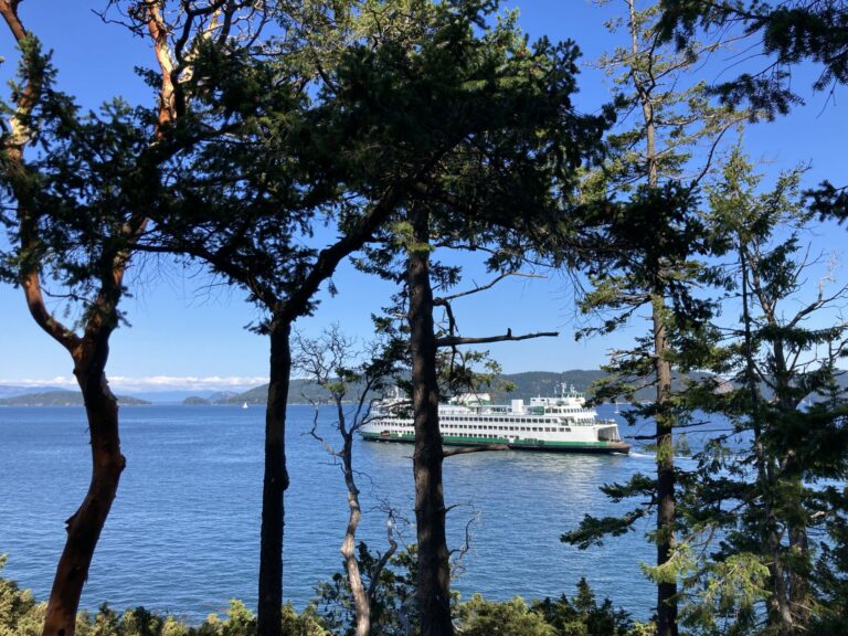 9 Magical Things to do on Lopez Island – Top Left Adventures