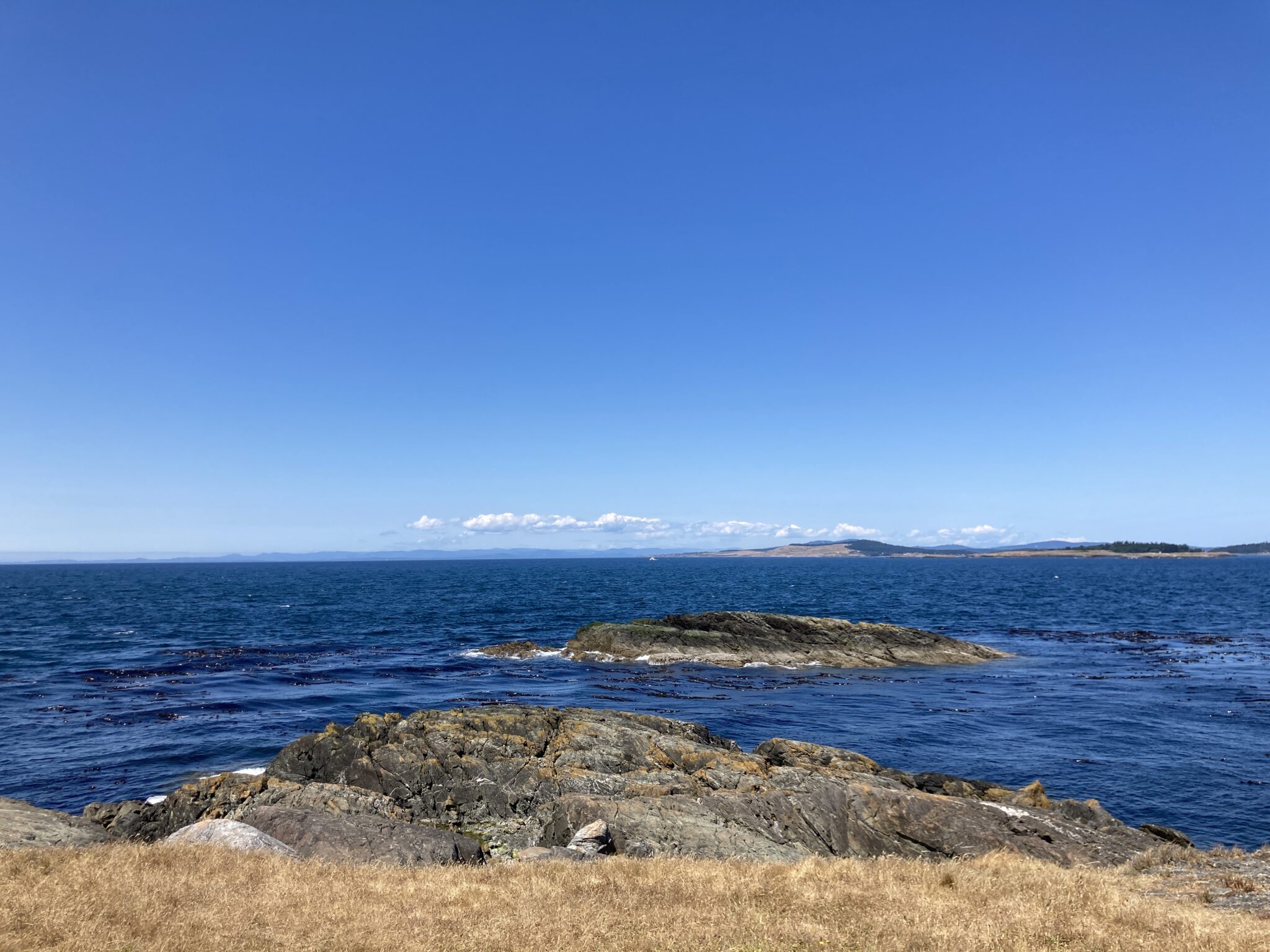 9 Magical Things to do on Lopez Island – Top Left Adventures
