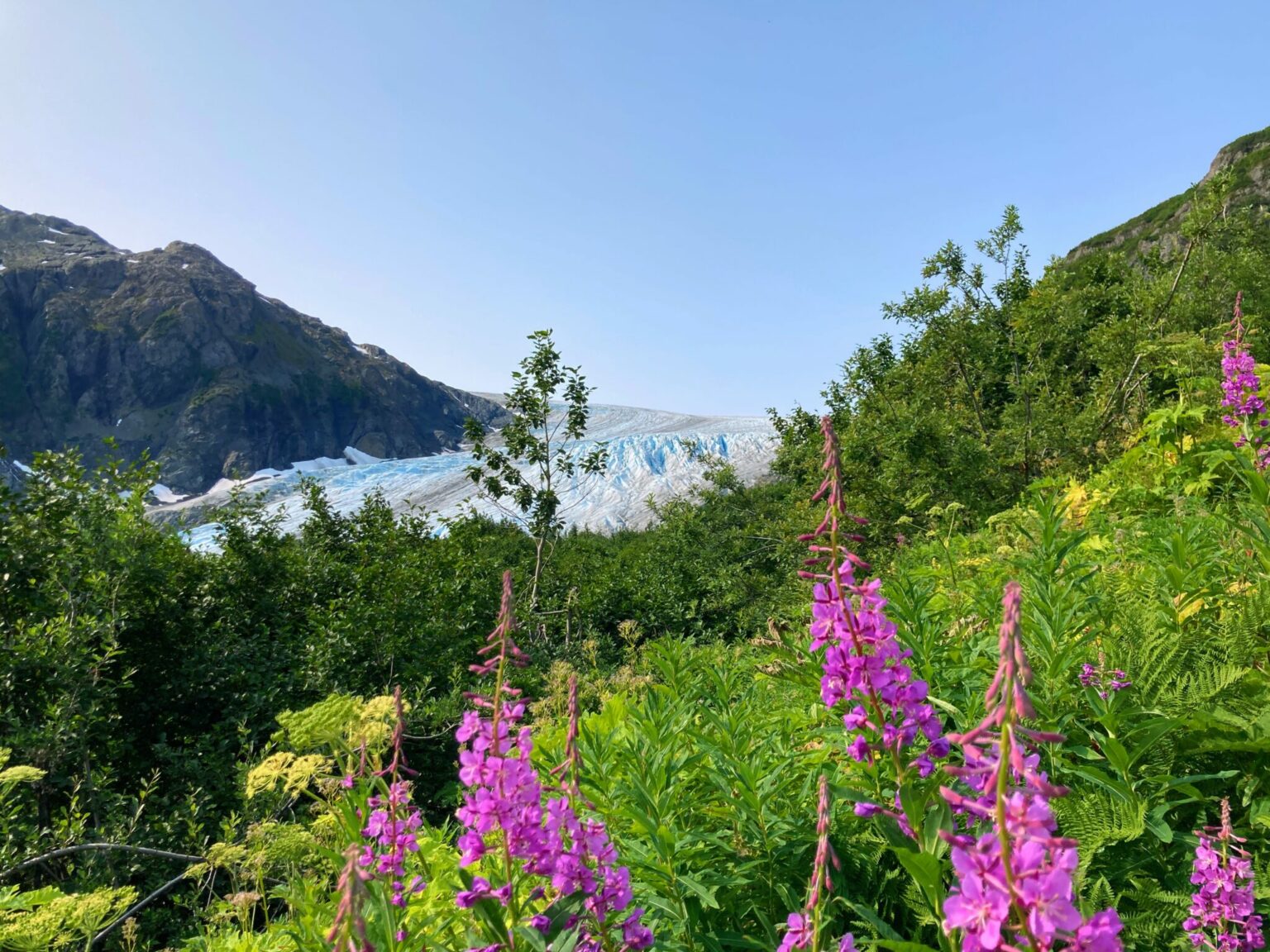 How to Hike the Harding Icefield Trail near Seward - Ordinary Adventures