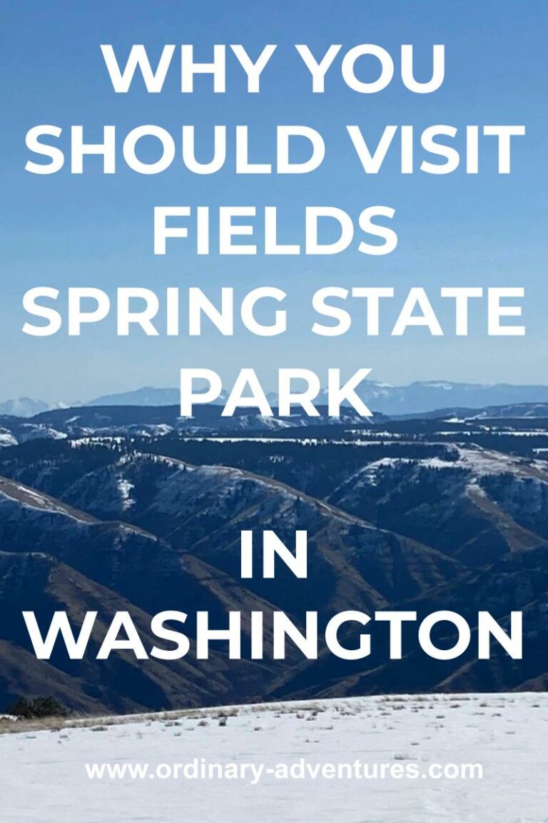 Complete Guide to Remote Fields Spring State Park in Southeast ...