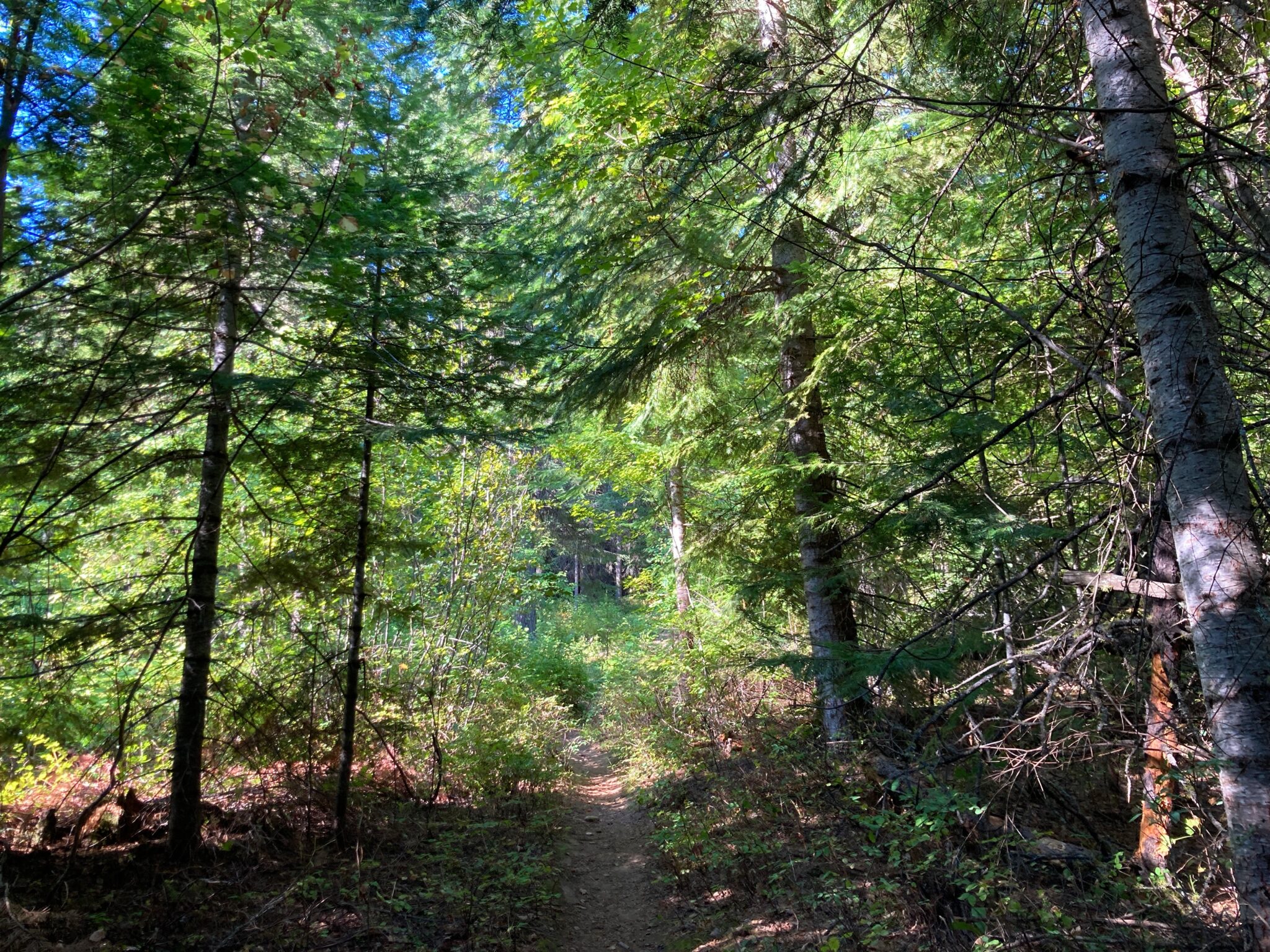 Complete Guide to Remote Fields Spring State Park in Southeast ...