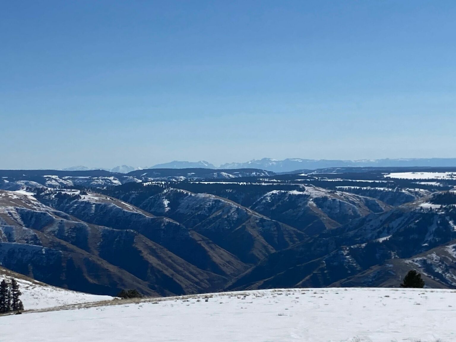 Complete Guide to Remote Fields Spring State Park in Southeast ...