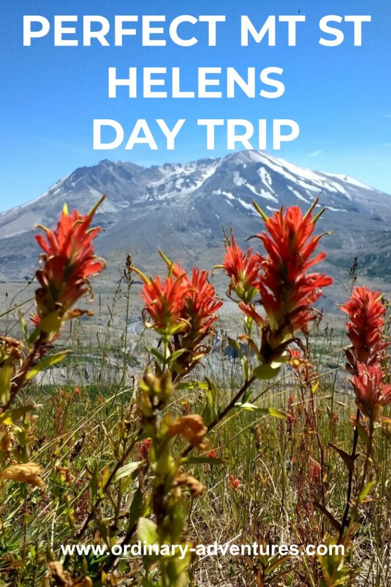 Perfect Mt St Helens day trip from Seattle or Portland – Top Left ...