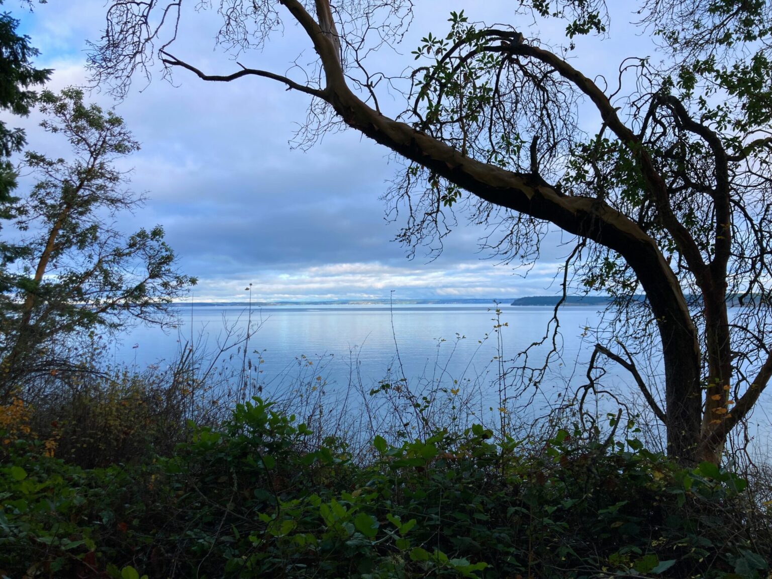 17 Unique things to do in Port Townsend – Top Left Adventures