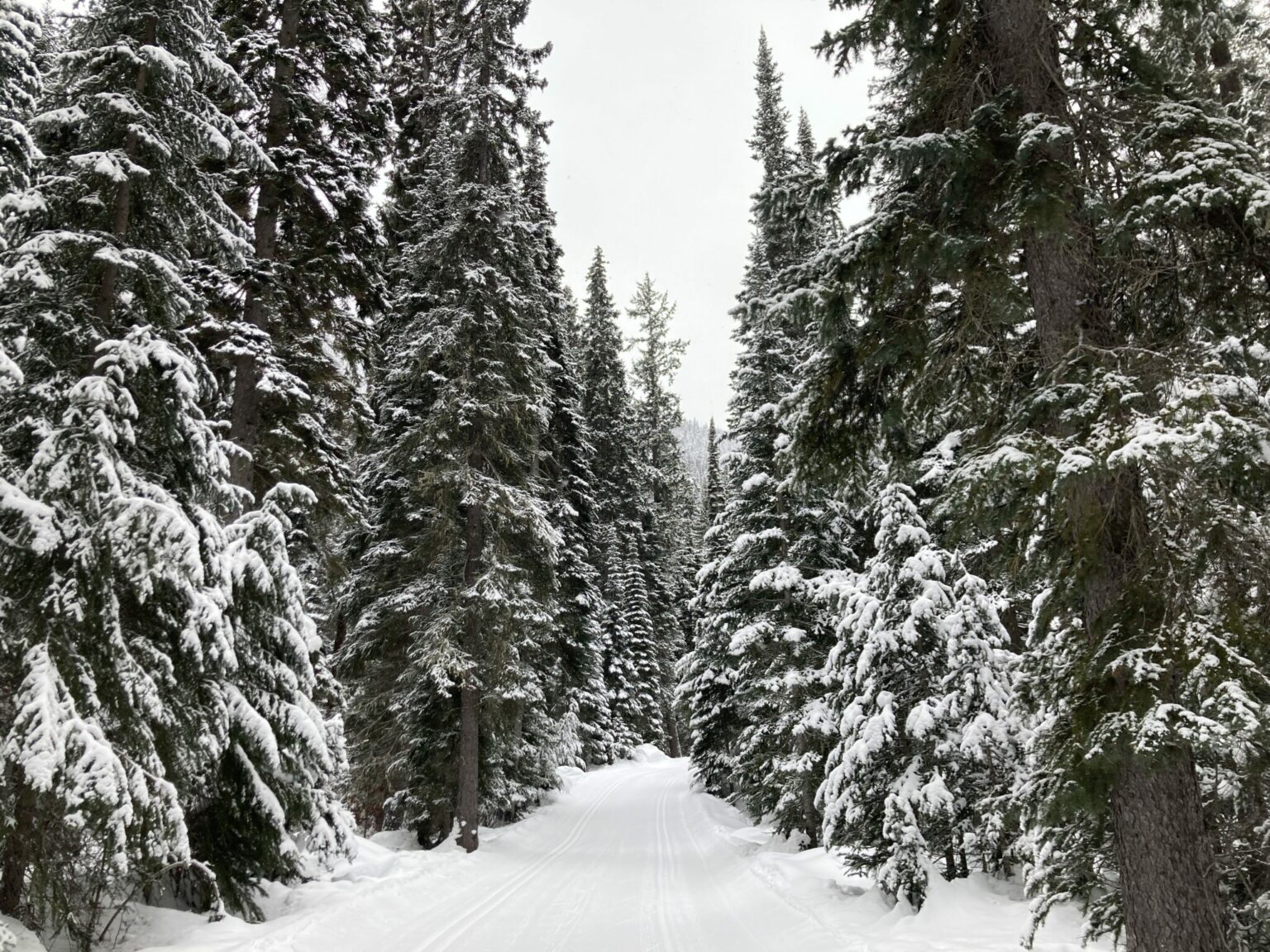 Complete Guide to Winter in Manning Park British Columbia – Top Left ...