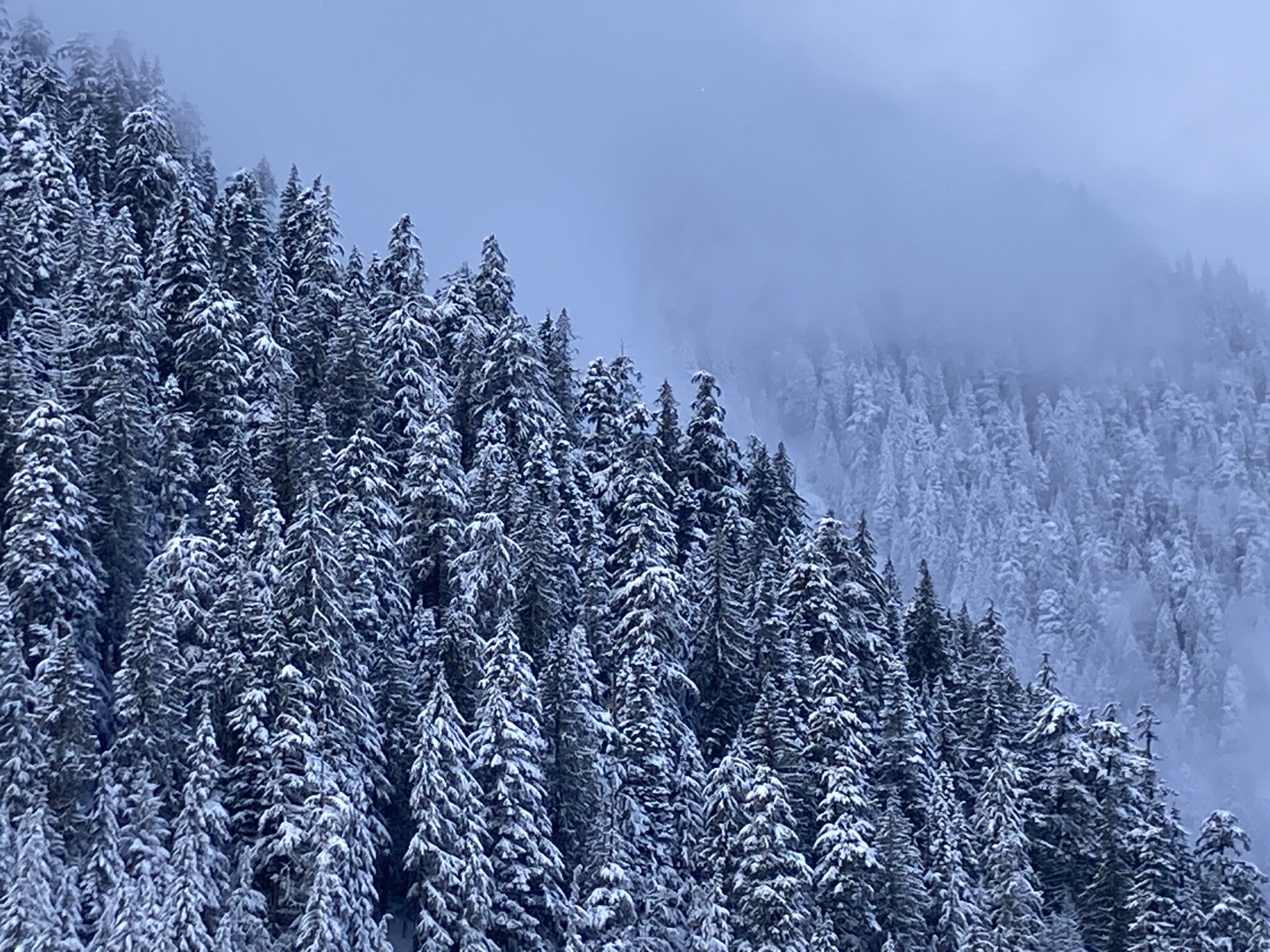 Complete Guide to Winter in Manning Park British Columbia – Top Left ...