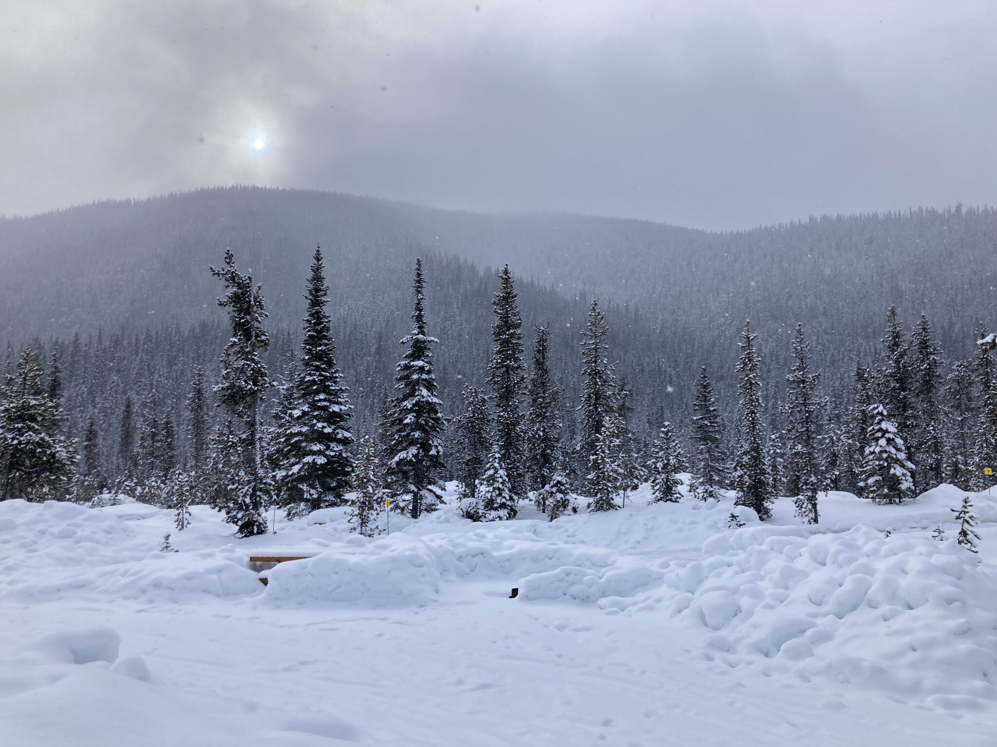 Complete Guide to Winter in Manning Park British Columbia – Top Left ...