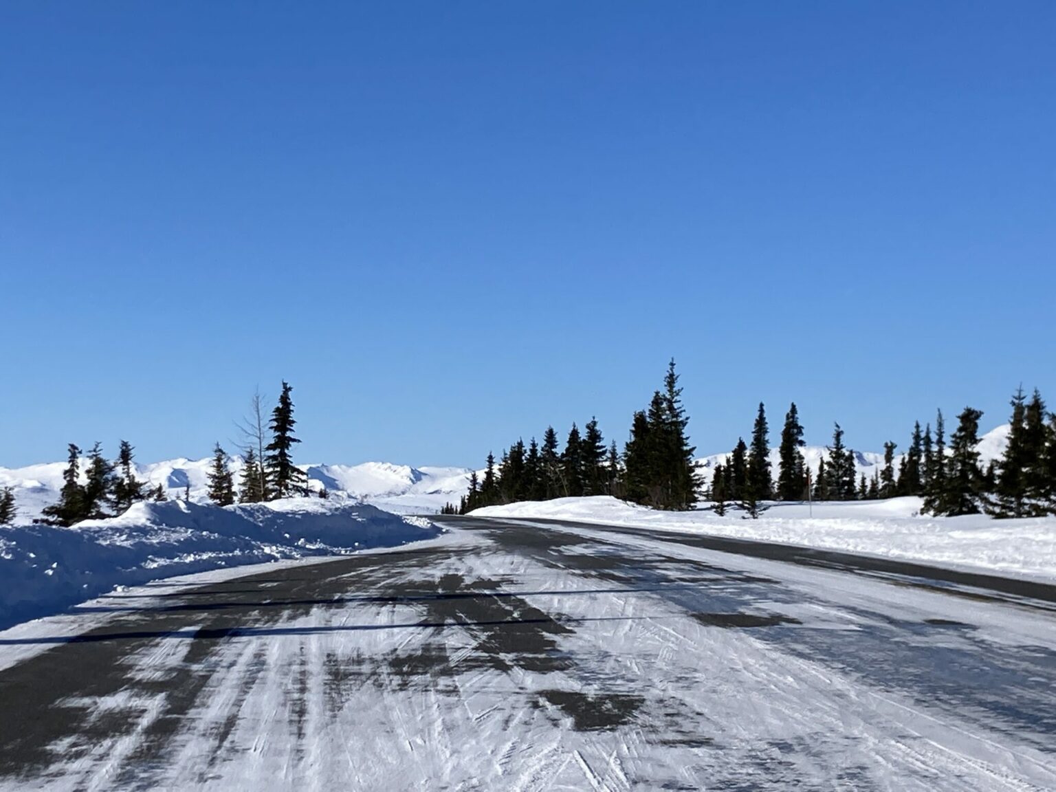 How to visit Denali National Park in Winter – Top Left Adventures