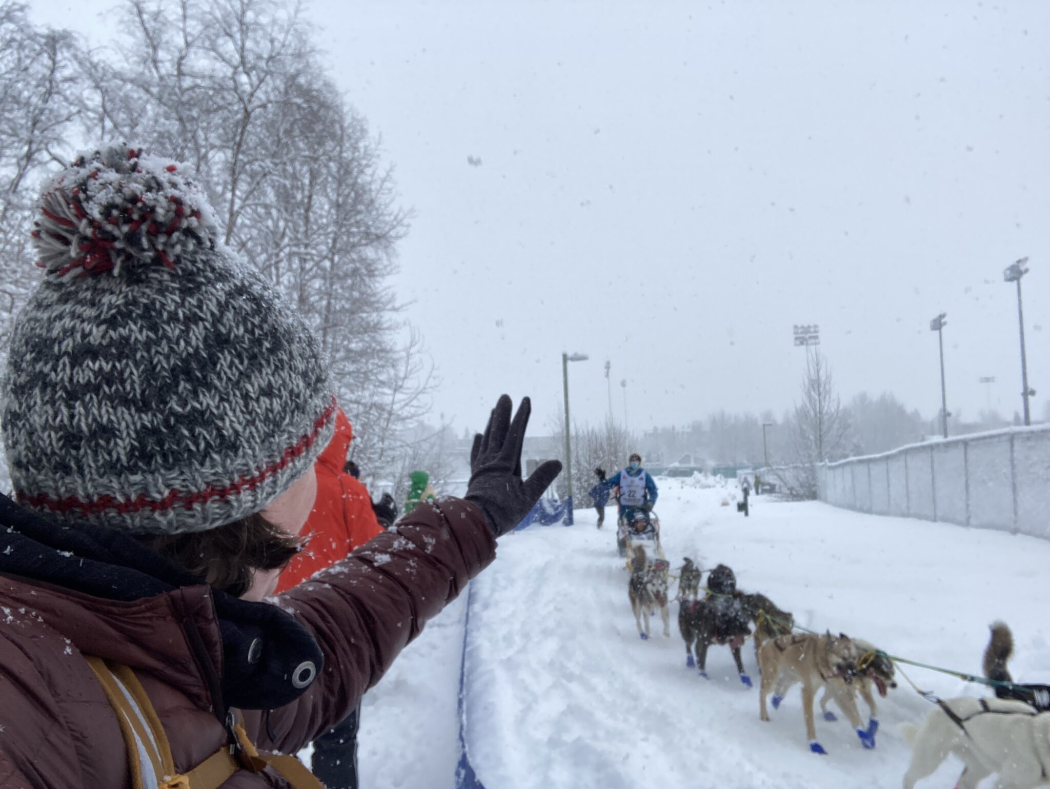 8 Reasons to Visit Alaska in Winter – Top Left Adventures