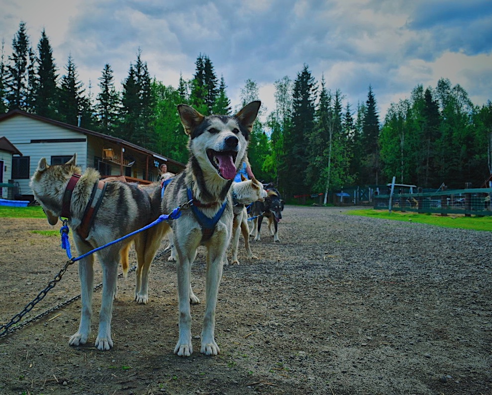 Visiting Chena Hot Springs near Fairbanks Alaska - Ordinary Adventures