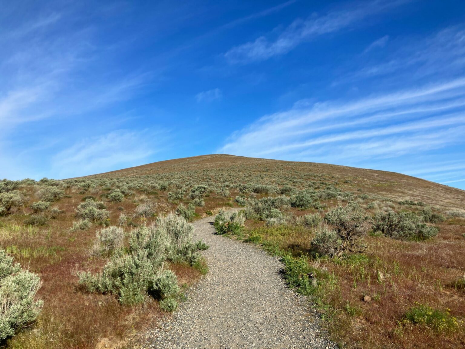 Seatteite’s reasons to visit Tri-Cities, Washington – Top Left Adventures