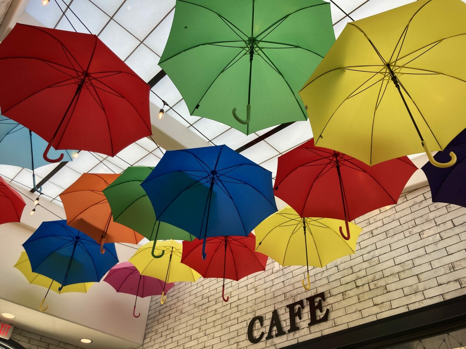 Seatteite’s reasons to visit Tri-Cities, Washington – Top Left Adventures