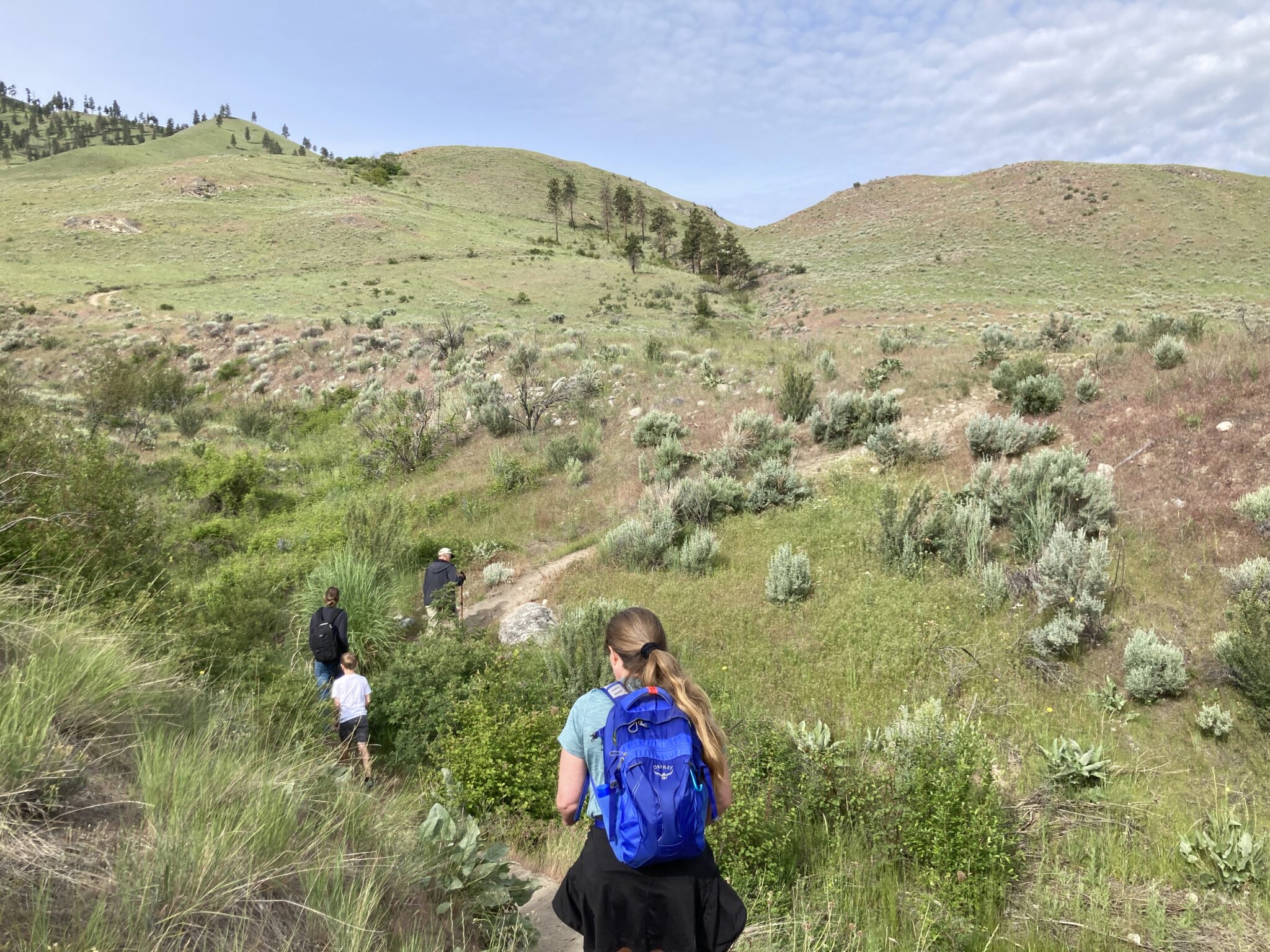 Hiking to Elephant Head on the Chelan Butte Trail – Top Left Adventures