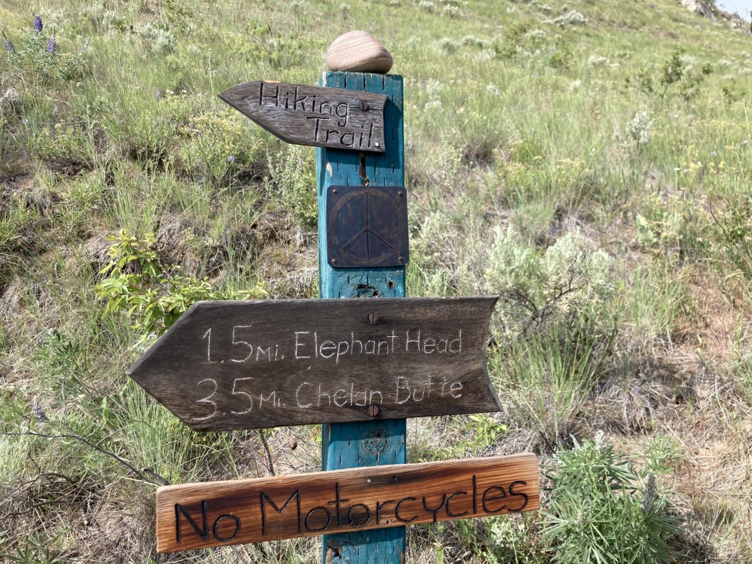 Hiking to Elephant Head on the Chelan Butte Trail – Top Left Adventures