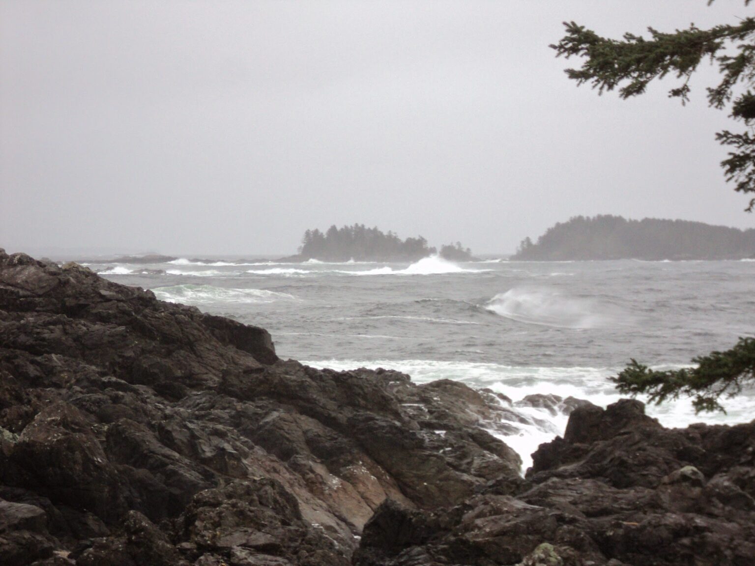 18+ Best things to do in Ucluelet and Tofino – Top Left Adventures