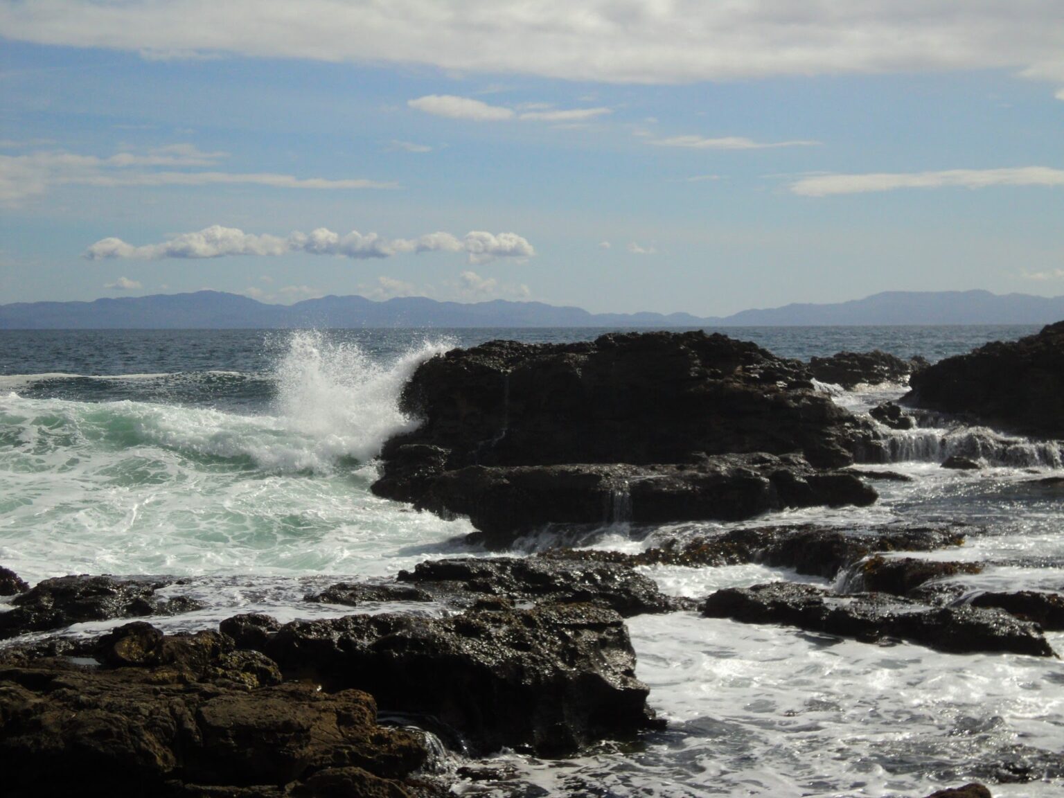 The Ultimate Vancouver Island Road Trip Itinerary – Top Left Adventures