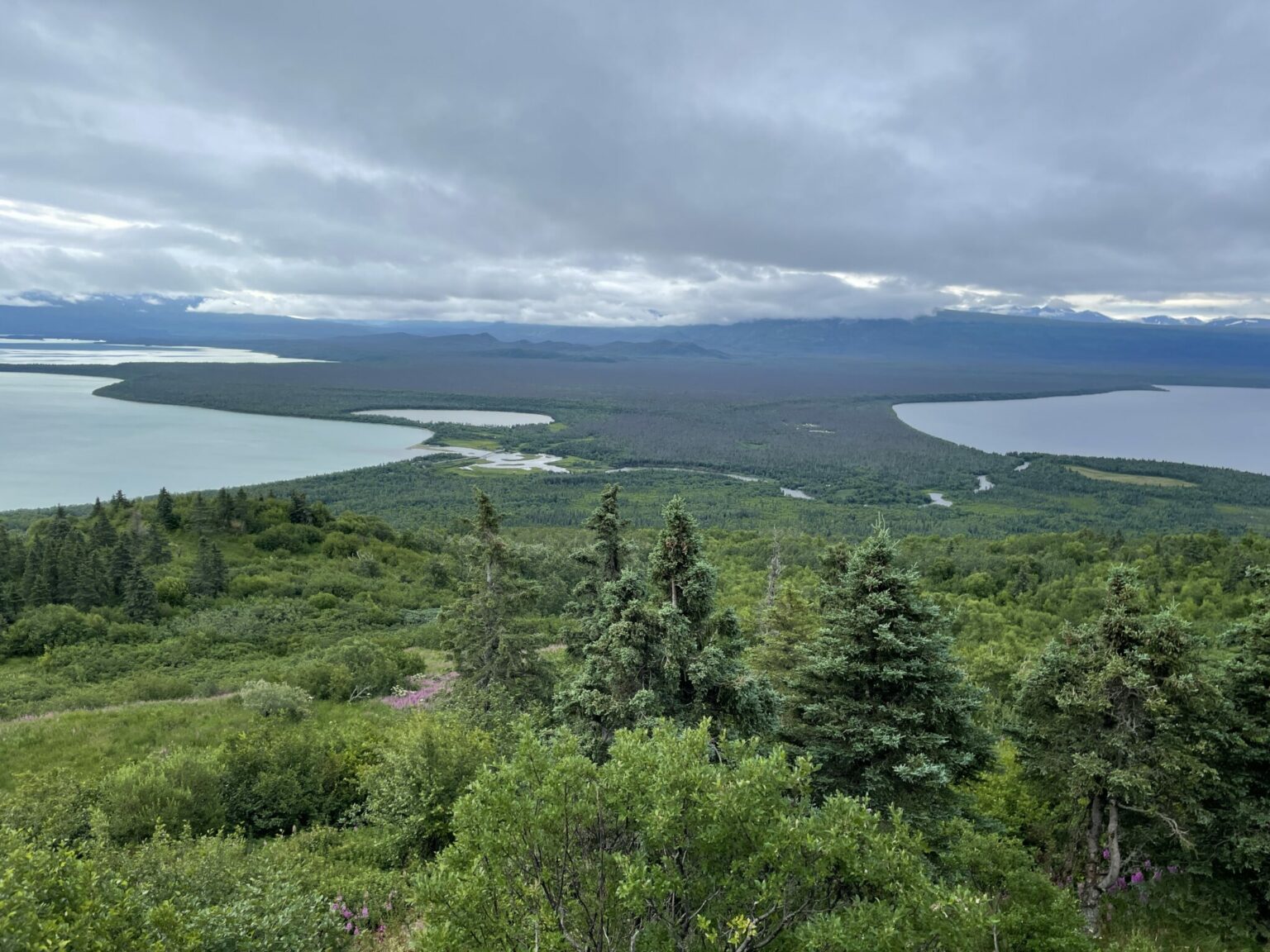 How to visit Katmai National Park in Alaska: Ultimate Guide – Top Left ...