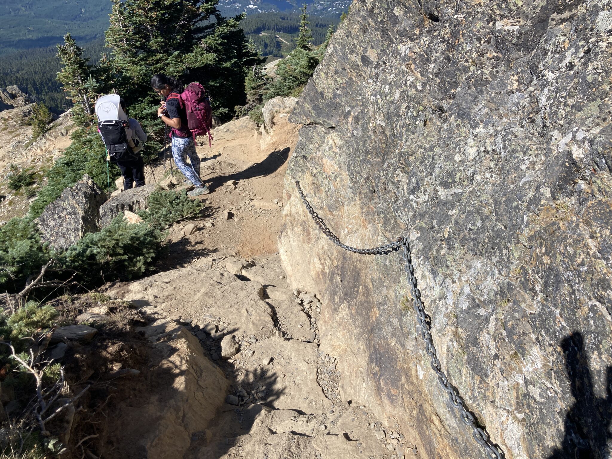 Hiking Half Note Loop from PEAK 2 PEAK – the best hike in Whistler ...