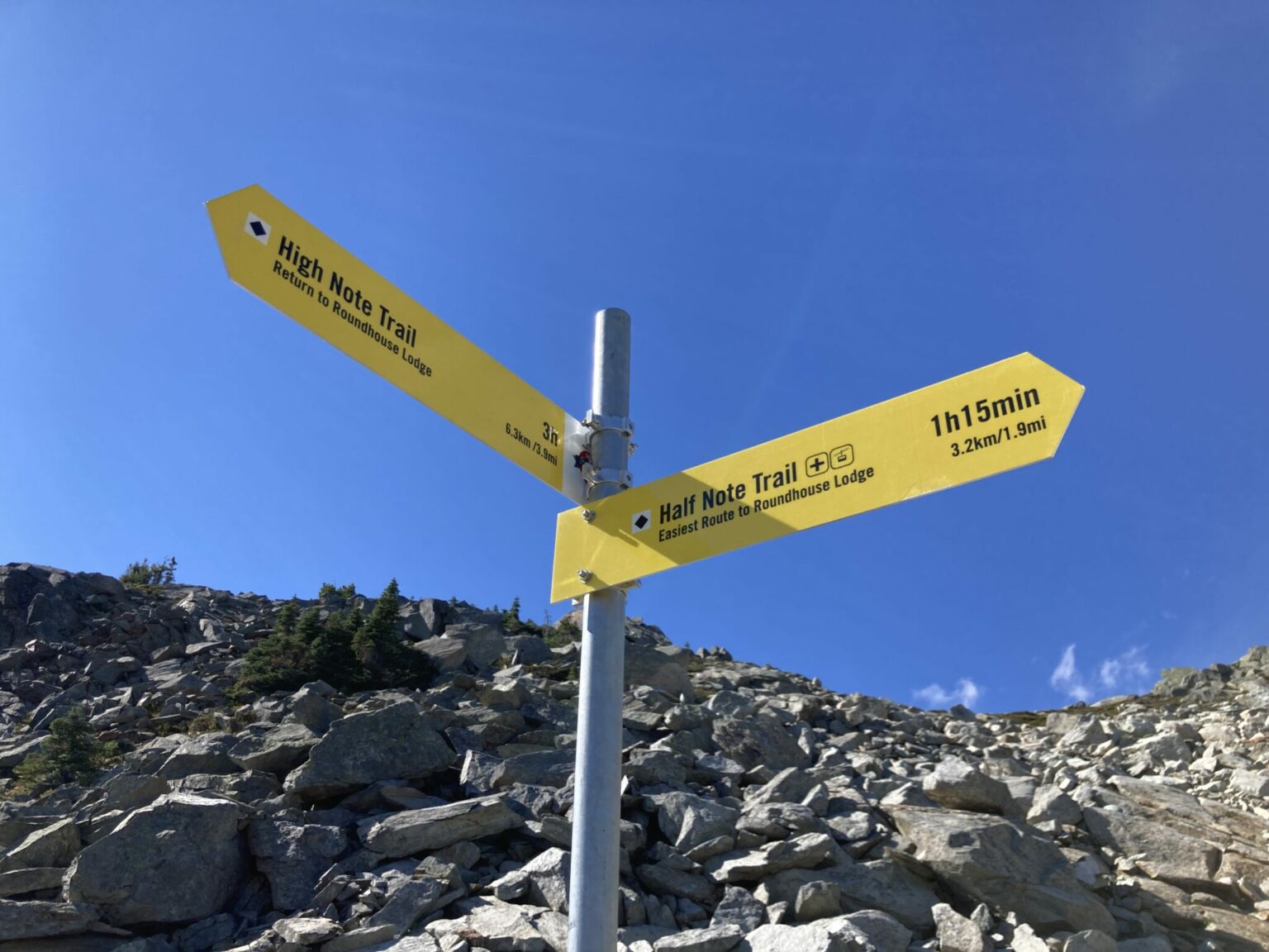 Hiking Half Note Loop from PEAK 2 PEAK – the best hike in Whistler ...