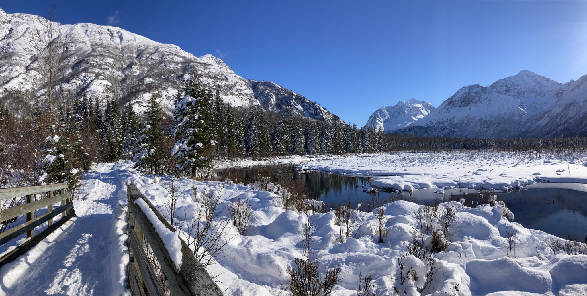 Hiking the Albert Loop Trail near Anchorage – Top Left Adventures