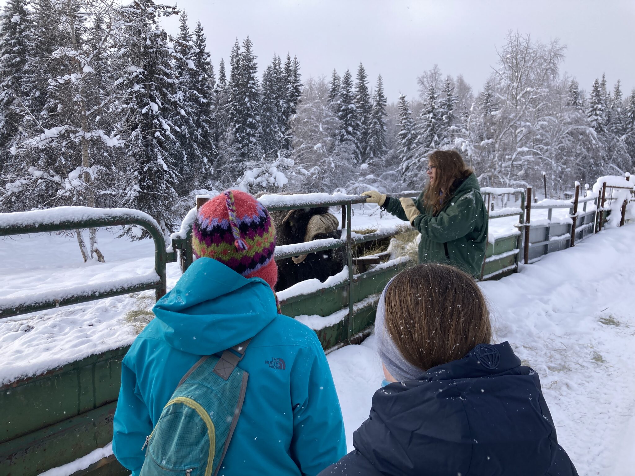 Large Animal Research Station Tour Review (Fairbanks, Alaska) – Top ...