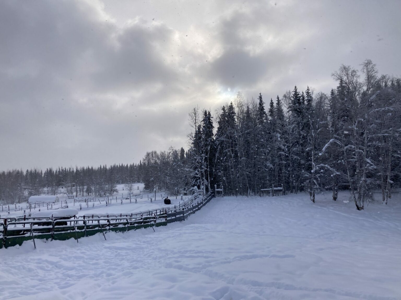 Large Animal Research Station Tour Review (Fairbanks, Alaska) – Top ...