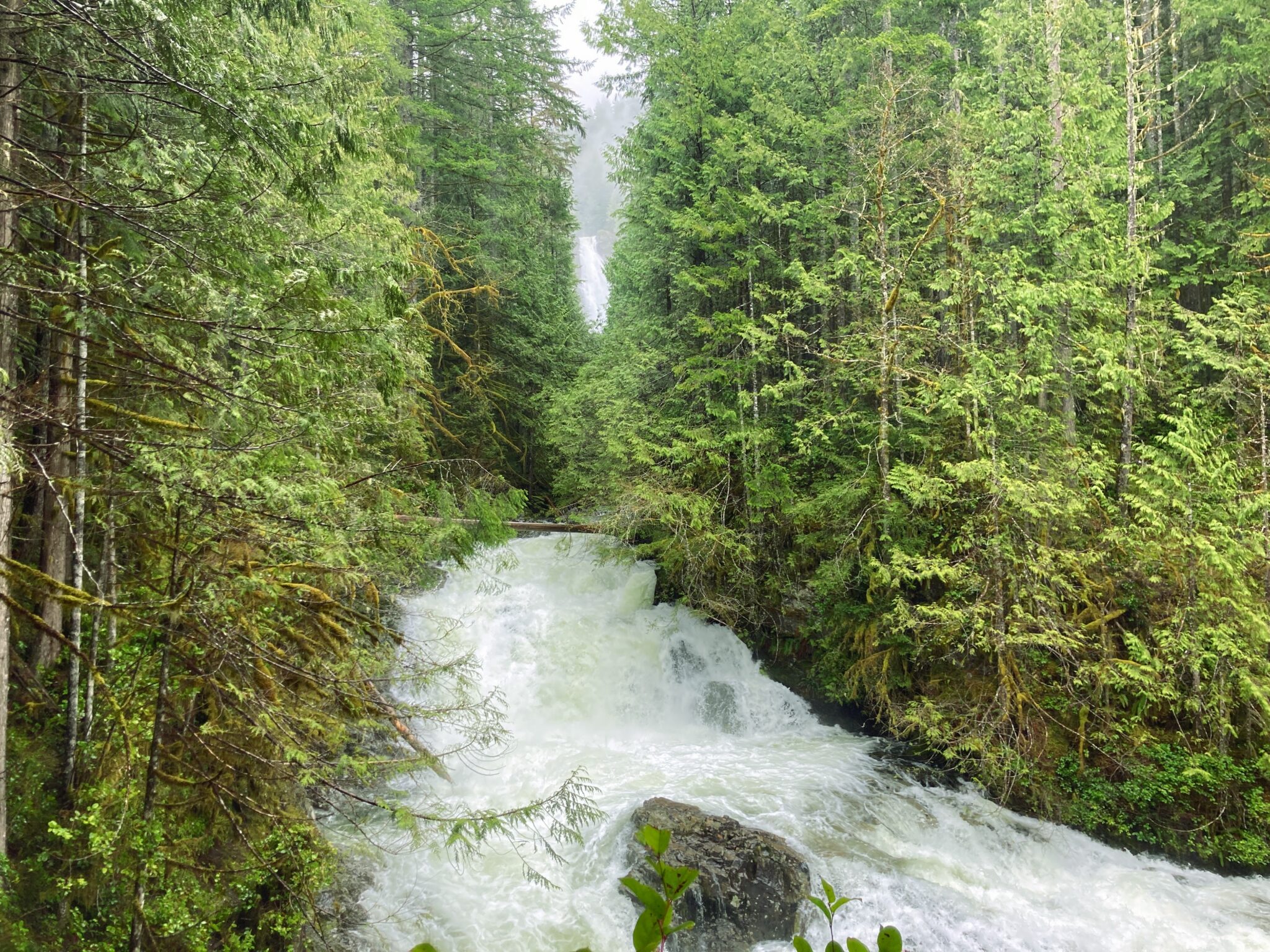 Hiking Guide to Wallace Falls State Park – Top Left Adventures