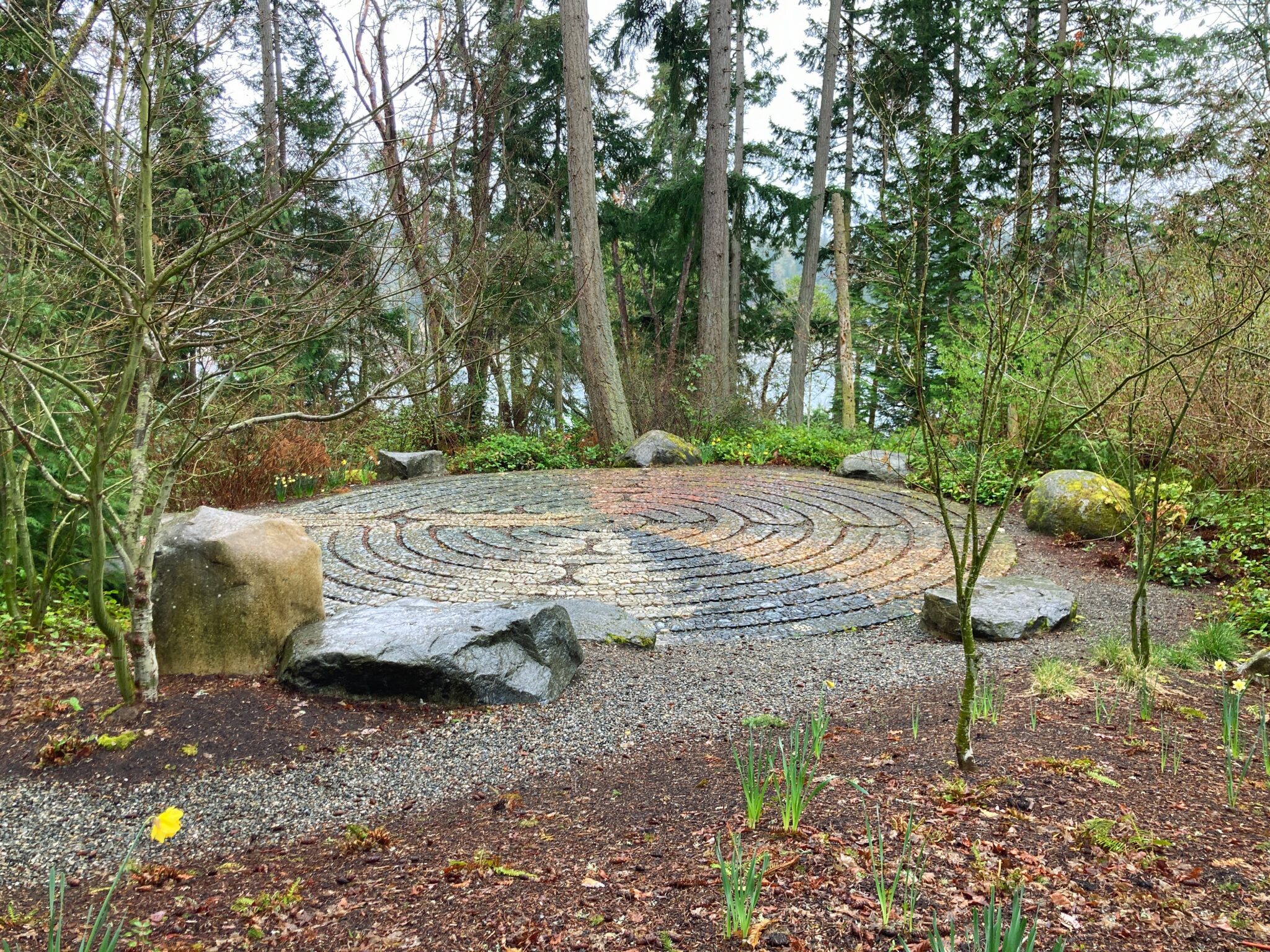 14 Fun Things to do on Bainbridge Island with or without a car – Top ...