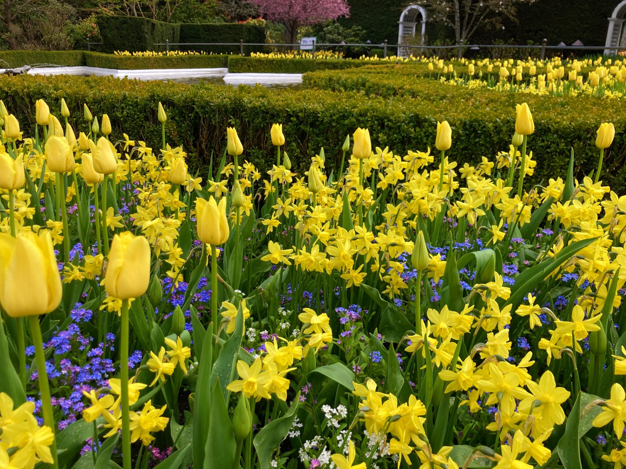 Top 3 things to do in a short port call in Victoria BC – Top Left Adventures