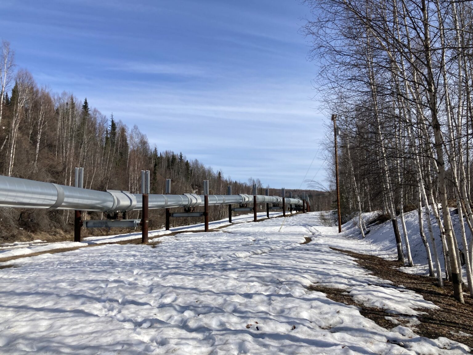 21 Unique Things to do in Fairbanks in Summer – Top Left Adventures