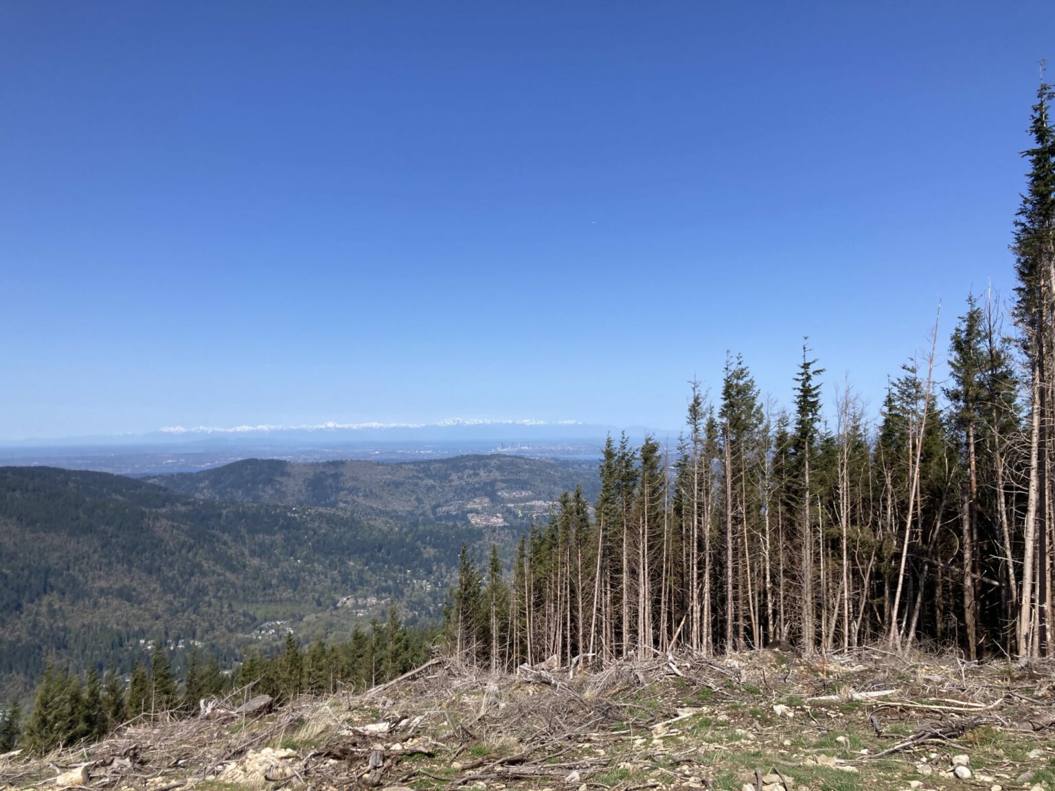 Hiking West Tiger Mountain #3-2-1 – Top Left Adventures