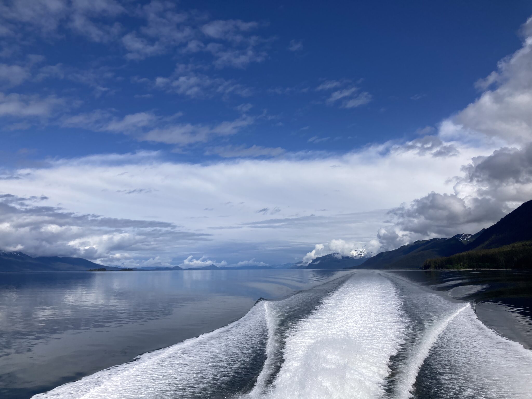 Exploring Tracy Arm Fjord in Juneau (Review of True Alaskan Tours ...
