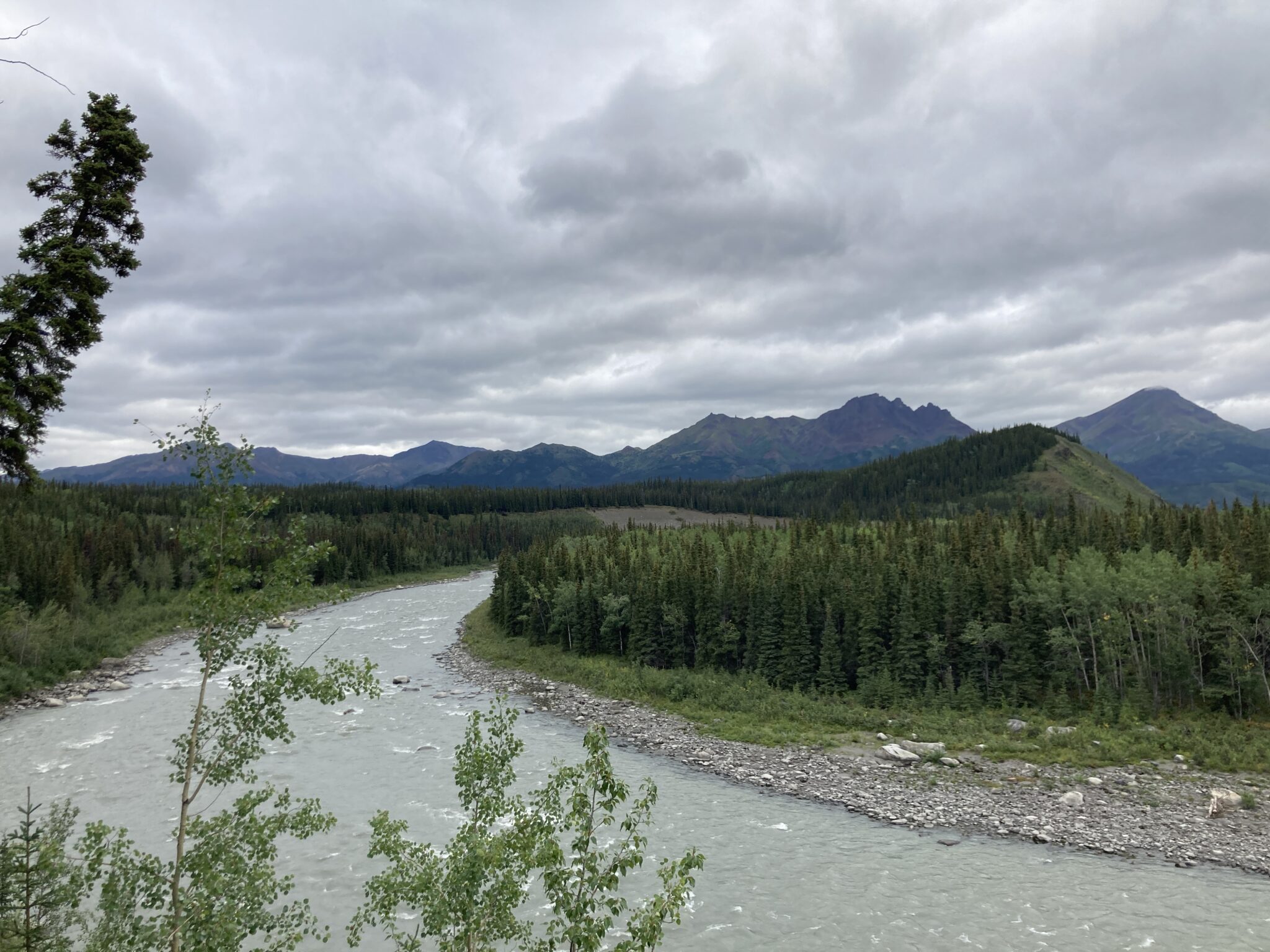 How to Visit Denali National Park – Top Left Adventures