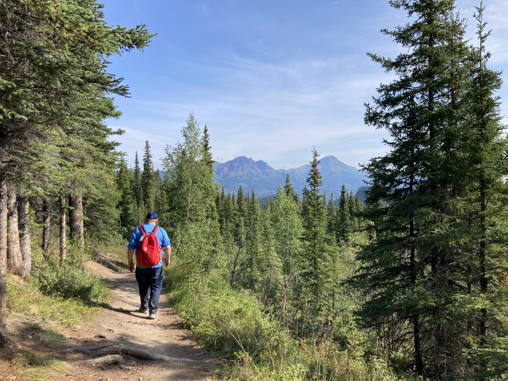 Hiking the Triple Lakes Trail in Denali National Park – Top Left Adventures