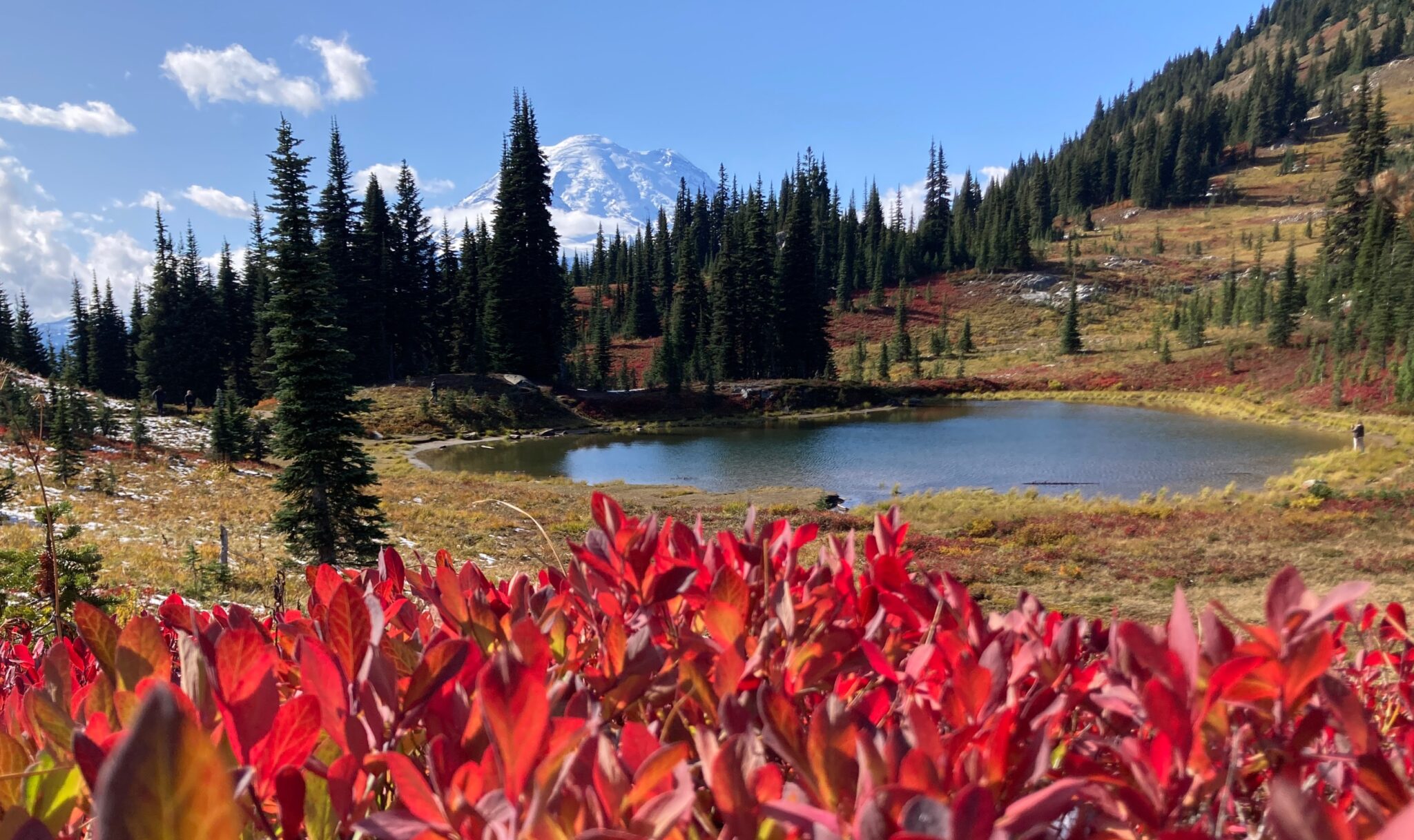 Naches Peak Loop Hike: Summer wildflowers, fall colors, epic views ...