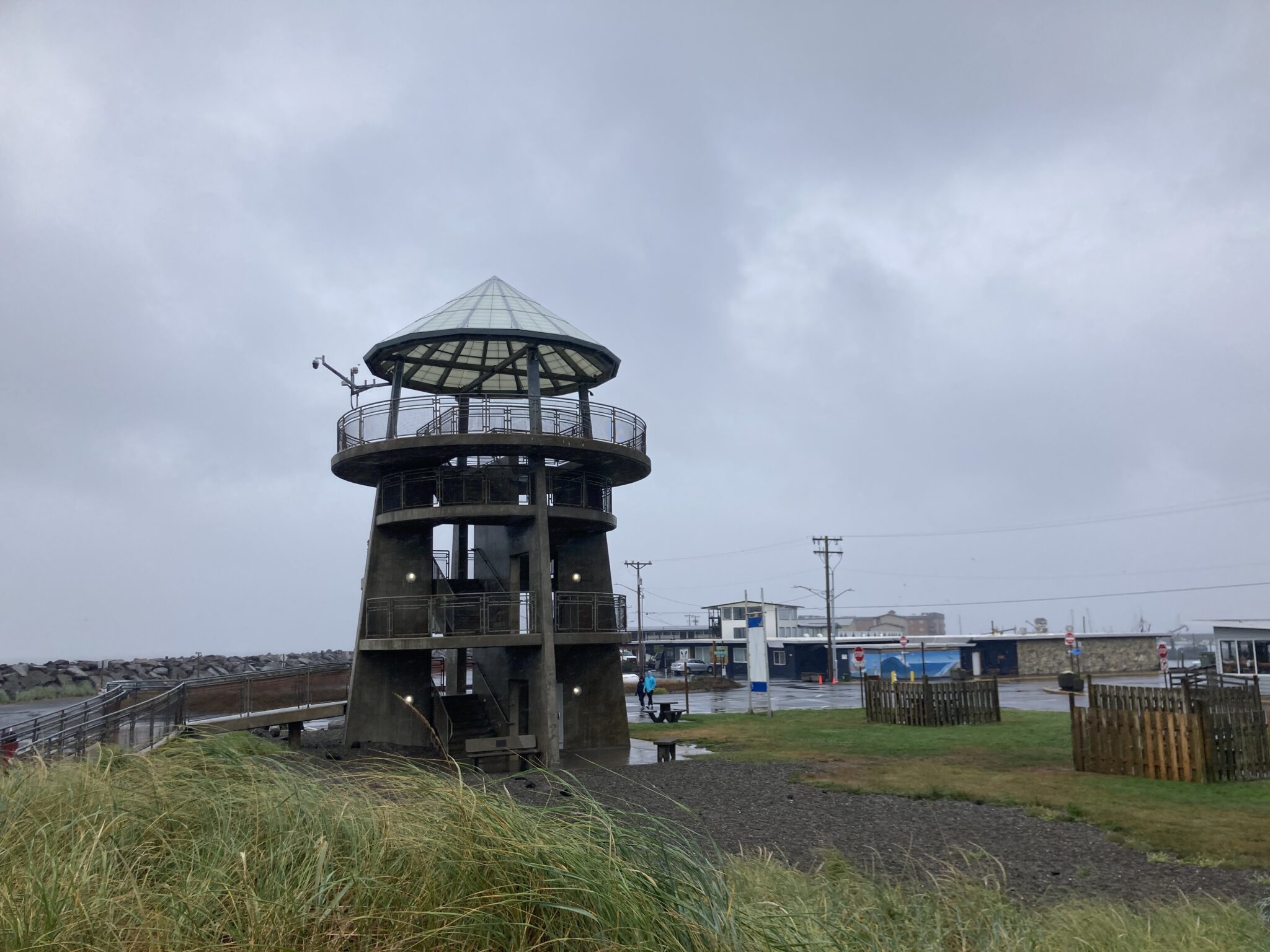 13 Fun Things to do in Westport, Washington – Top Left Adventures