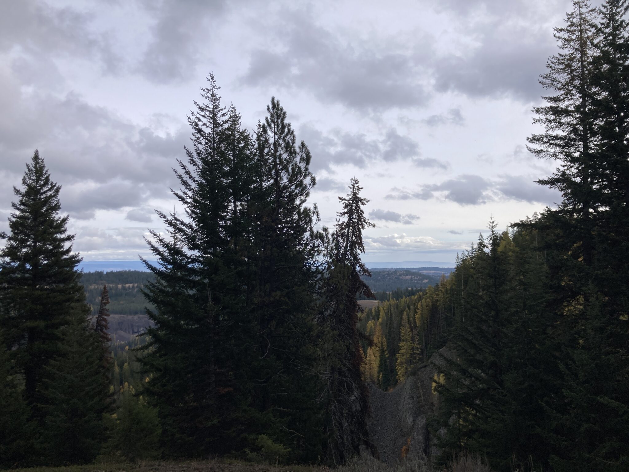 Manastash Lake and Lost Lake Trail Guide – Top Left Adventures