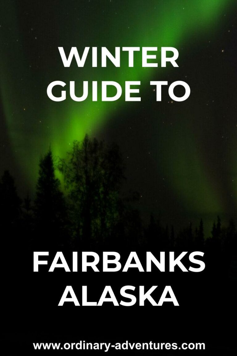 Fairbanks in Winter: 12 unique things to do while you wait for the ...