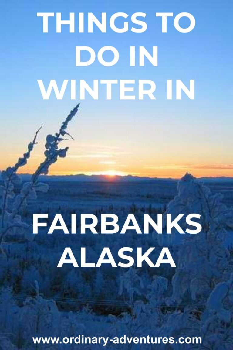 Fairbanks in Winter: 12 unique things to do while you wait for the ...
