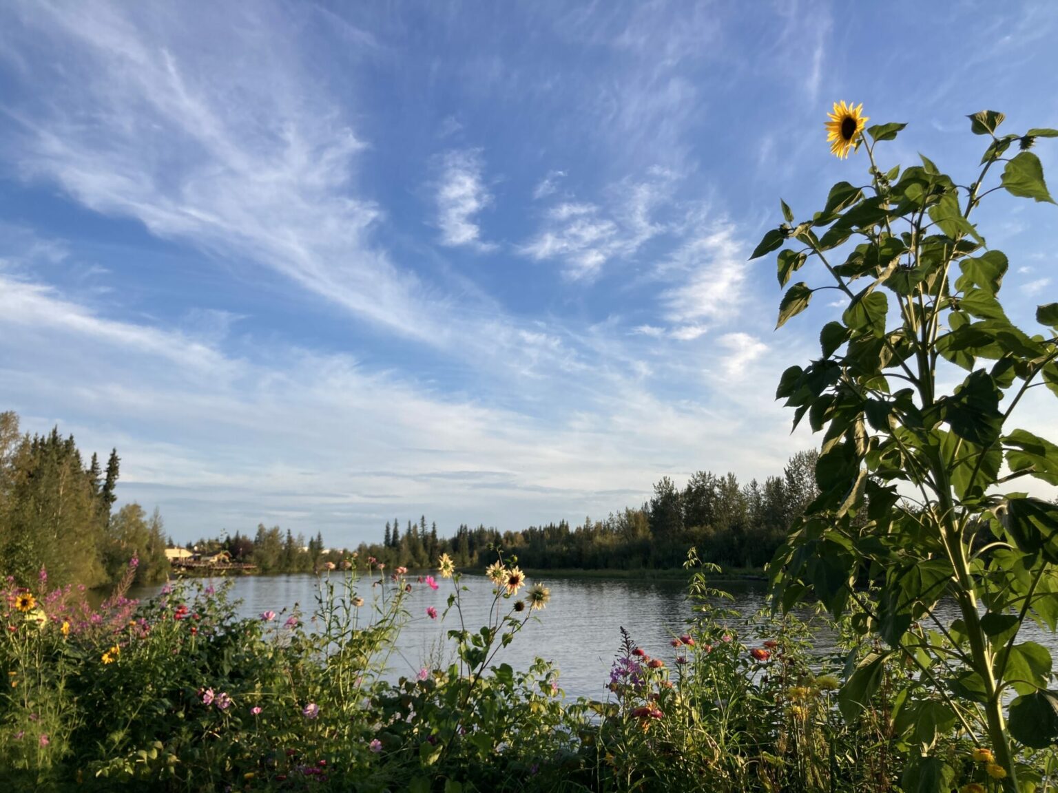 21 Unique Things to do in Fairbanks in Summer – Top Left Adventures