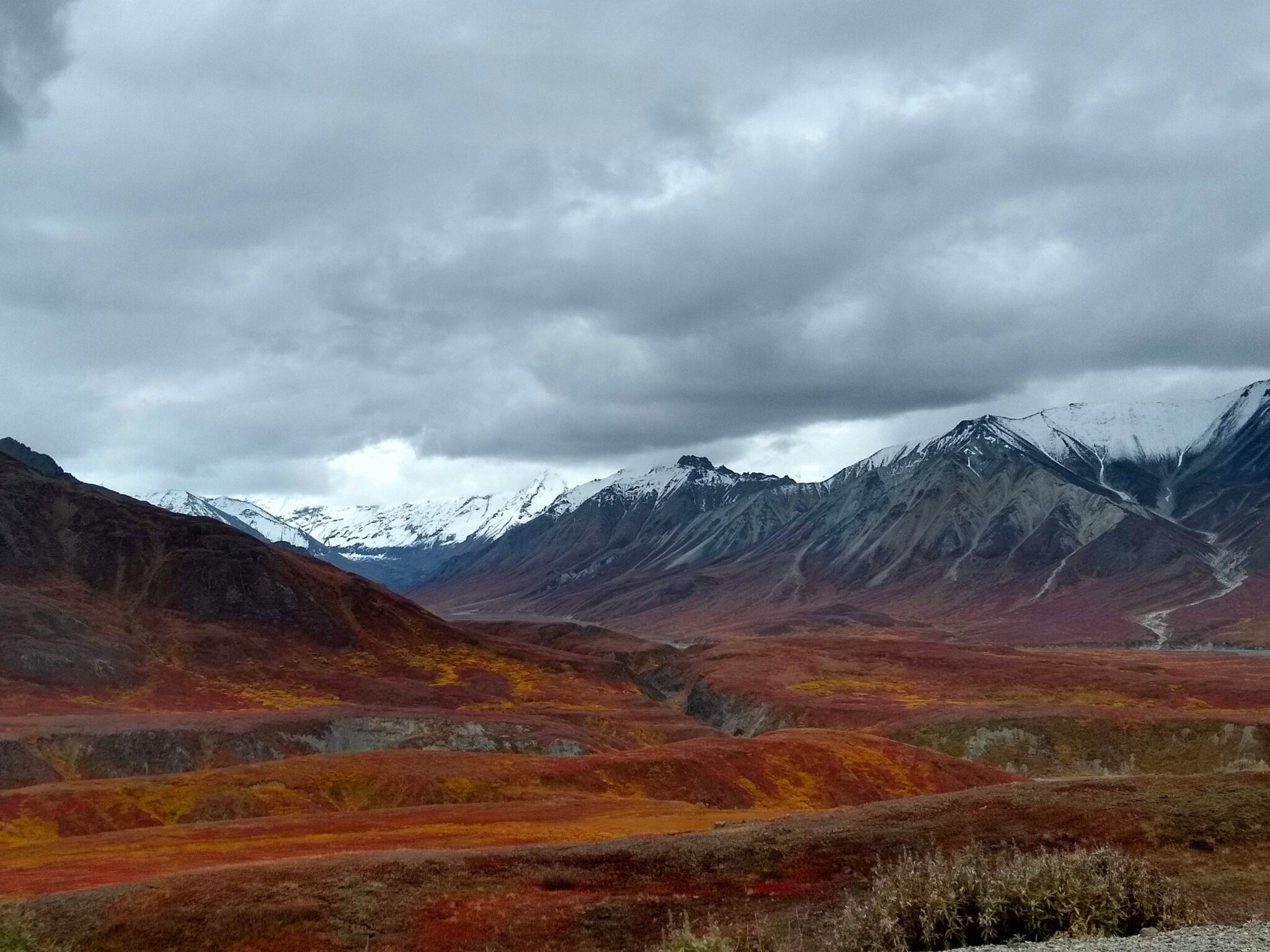 5 Things to Consider before visiting Alaska in Fall – Top Left Adventures