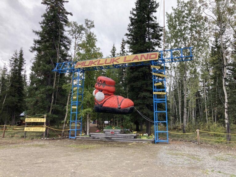 Fairbanks to Dawson City Road Trip Guide – Top of the World Highway ...