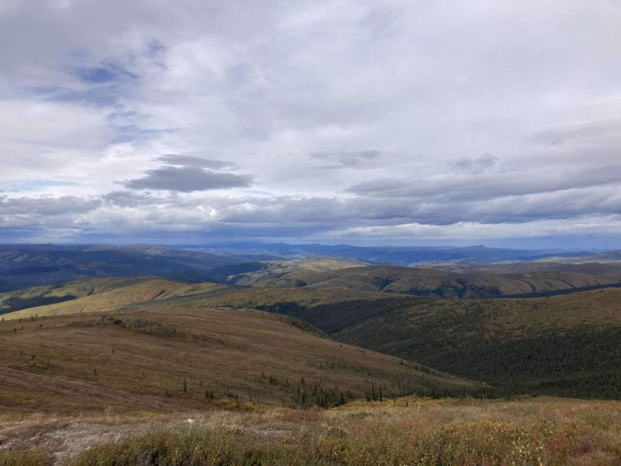 Fairbanks to Dawson City Road Trip Guide – Top of the World Highway ...