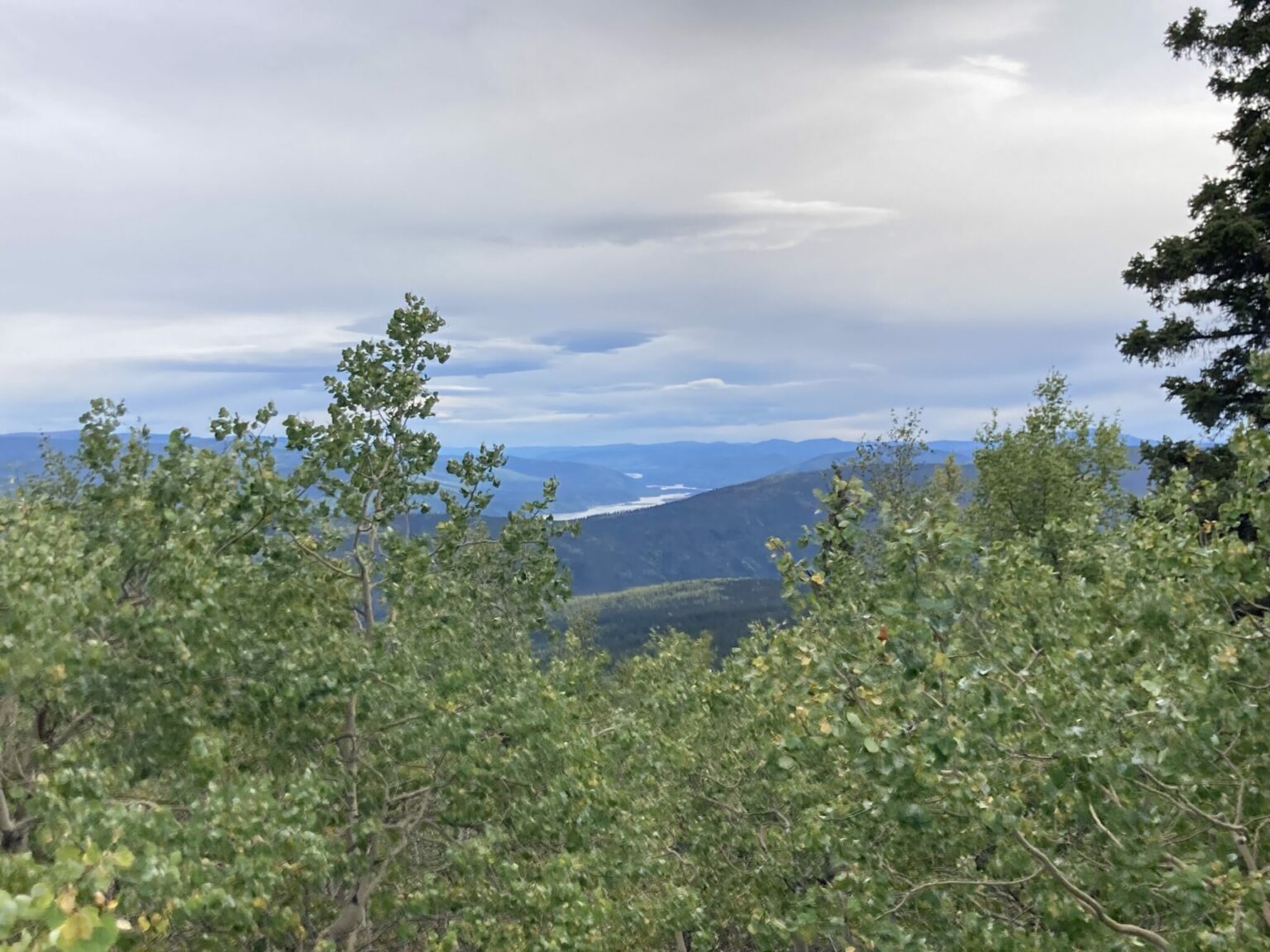 Fairbanks to Dawson City Road Trip Guide – Top of the World Highway ...