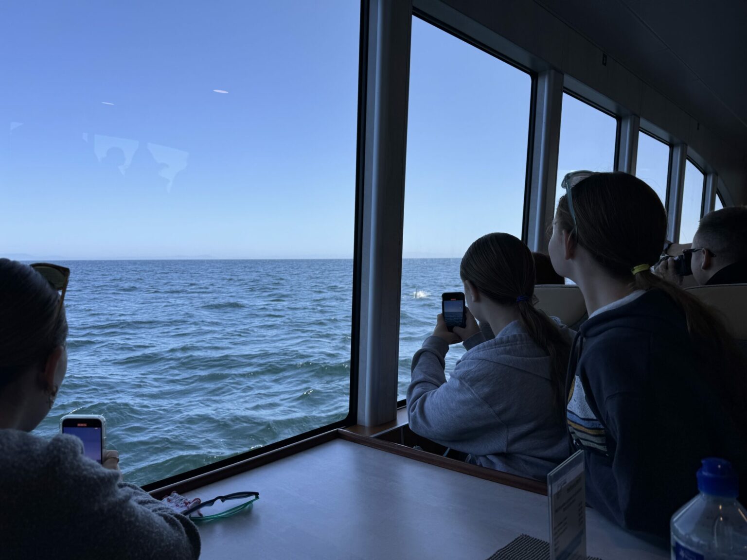 Puget Sound Express Whale Watching in Edmonds (Review) – Top Left ...