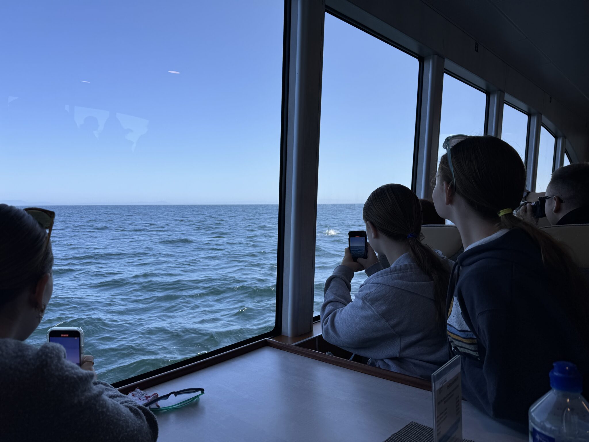 Puget Sound Express Whale Watching in Edmonds (Review) – Top Left ...