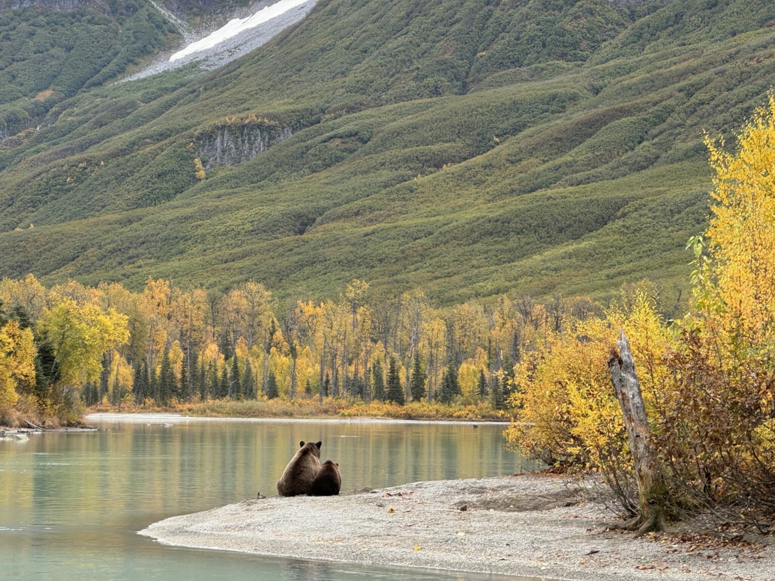Day Tripping to Lake Clark National Park from Anchorage – Top Left ...