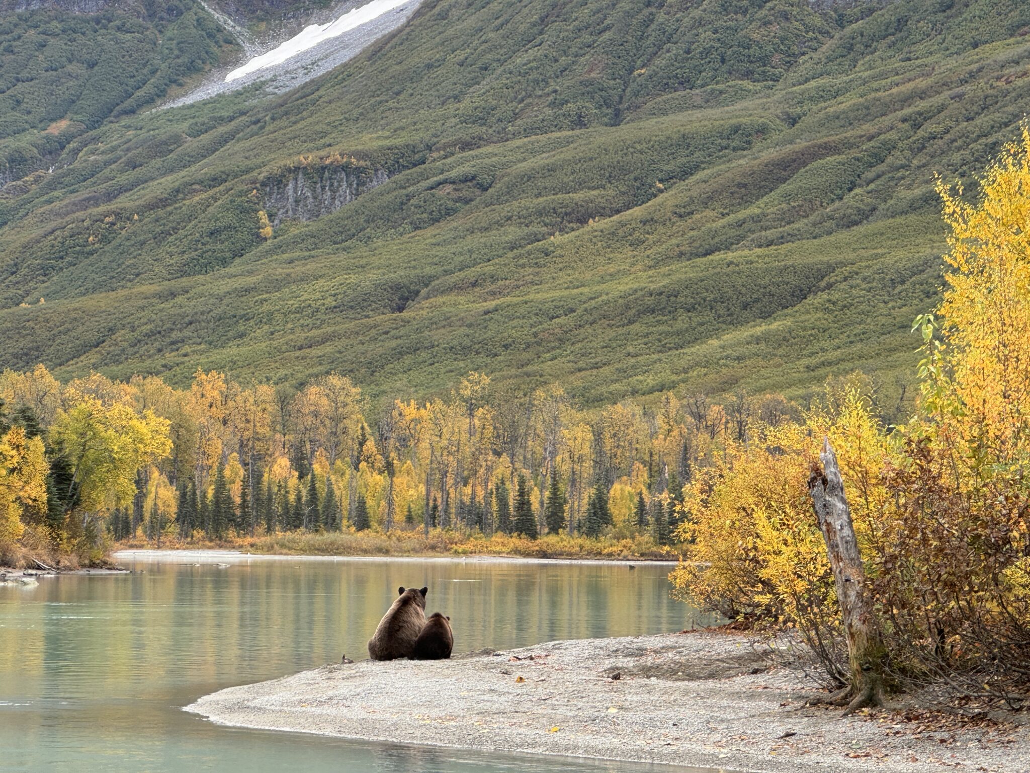 Day Tripping to Lake Clark National Park from Anchorage – Top Left ...