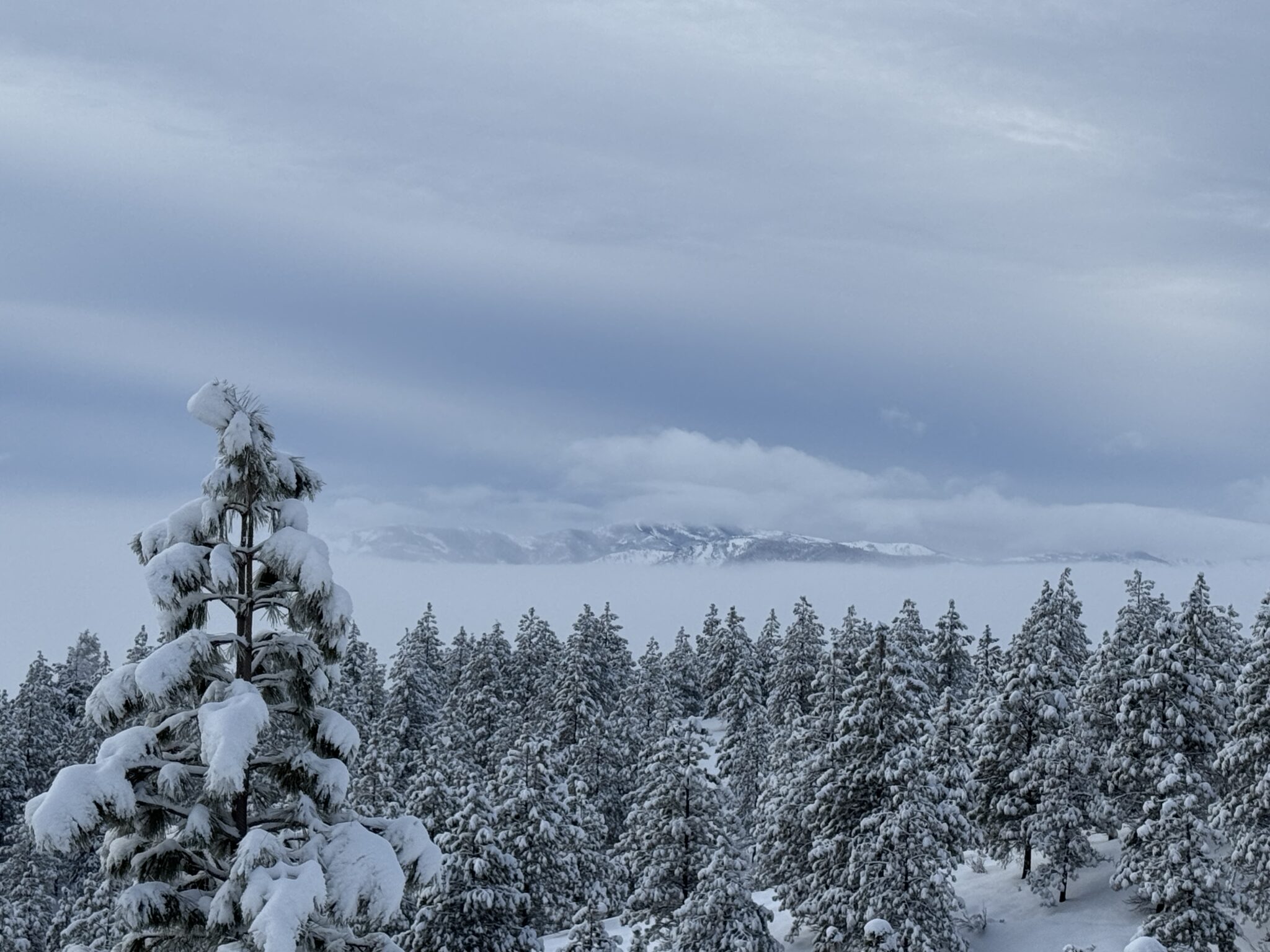 Cross Country Skiing at Echo Ridge near Chelan – Top Left Adventures